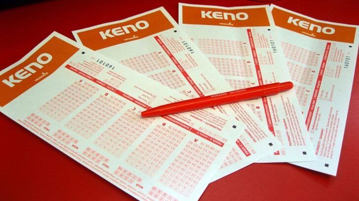 About Zeljko Ranogajec: Life and Blackjack - BlackjackChamp